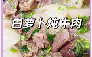 牛肉炖萝卜怎样炖最好吃_牛肉炖萝卜最正宗的做法