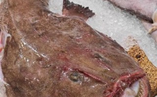 鮟鱇鱼的营养价值_孕妇能吃吗