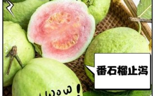 番石榴能降血糖吗_怎么吃降糖效果最好