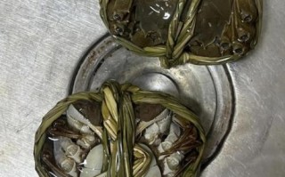 大闸蟹怎么保鲜存放十天_大闸蟹能放冰箱多久