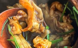 田鸡汤的做法_田鸡汤有什么功效