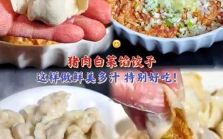 白菜猪肉饺子馅怎么做_白菜猪肉饺子馅怎么调才好吃