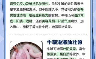 驴鞭和牛鞭哪个壮阳更好_效果对比与吃法