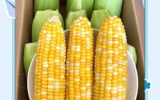 水果玉米煮多久就熟了_水果玉米煮几分钟口感最好