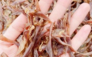 肫和胗的区别_哪个部位更好吃