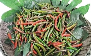 自制泡椒小米椒的做法_泡椒小米椒怎么保存