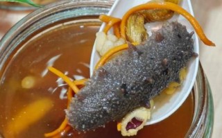 海参补什么效果最好_海参补气血还是补肾