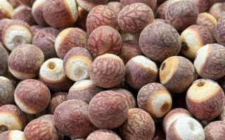 芡实哪里最正宗_芡实产地哪个最好