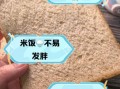 面包和米饭哪个容易胖_减肥期间选哪个