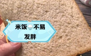 面包和米饭哪个容易胖_减肥期间选哪个