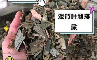 竹叶的功效与作用_竹叶的禁忌有哪些