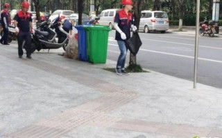 东江路小学怎么样_东江路小学招生条件