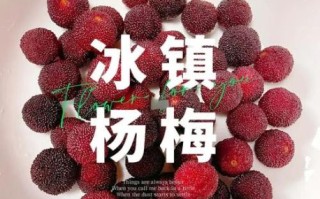 冰糖杨梅汁怎么做_冰糖杨梅汁的功效与禁忌