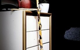 牛筋木是什么木材_牛筋木价格多少钱一方