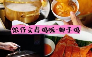 文昌鸡饭怎么做_正宗文昌鸡饭做法步骤