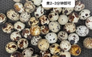 鹌鹑蛋怎么煮不破_鹌鹑蛋一天吃几个最好