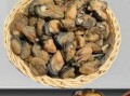 牡蛎肉干怎么做_家常做法窍门