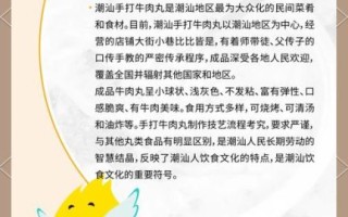 正宗潮州牛肉丸怎么做_潮汕手打牛肉丸配方