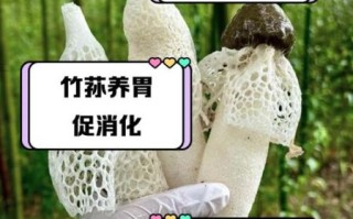 竹荪孕妇可以吃吗_竹荪孕期食用禁忌