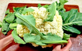 菜花叶子怎么做好吃_菜花叶子可以炒什么菜