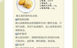 鲜猴头菇的功效与作用_怎么吃最养胃