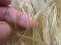 鱼翅是什么鱼做的_鱼翅是鲨鱼的哪个部位