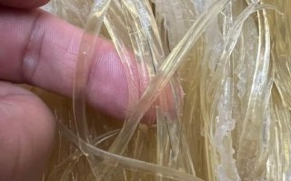 鱼翅是什么鱼做的_鱼翅是鲨鱼的哪个部位