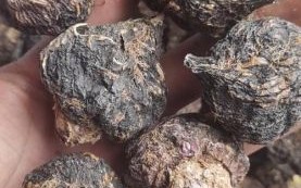 玛卡多少钱一斤2020_2020年玛卡价格走势