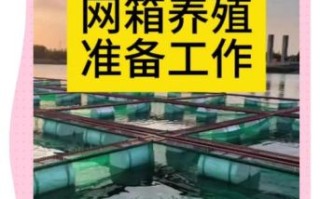 黄鳝网箱养殖技术大全_如何提高成活率