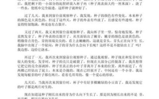 四年级黄豆观察日记怎么写_黄豆生长过程记录