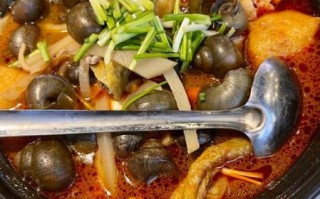 田螺煲怎么做好吃_田螺煲的家常做法