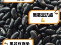 黑芸豆和黑豆的区别_哪个更补肾