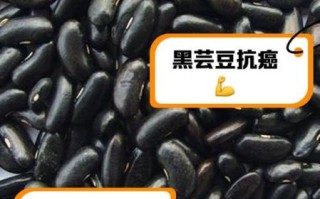 黑芸豆和黑豆的区别_哪个更补肾