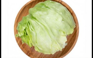 圆生菜和包菜是一个菜吗_区别与选购指南