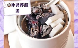 椰子鸡汤不能和什么一起吃_椰子鸡汤相克食物有哪些