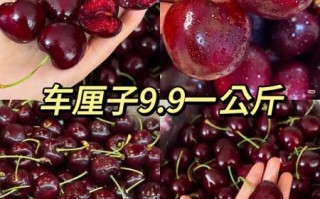 车厘子为什么这么贵_进口车厘子价格高的原因