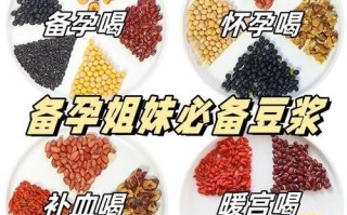孕妇豆浆食谱大全_孕期喝豆浆对胎儿好吗