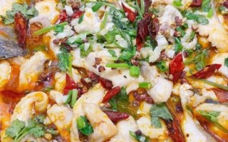 剑网三水煮鱼怎么做_剑网三水煮鱼在哪学