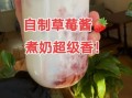草莓味的喵喵酱是什么_草莓味的喵喵酱怎么做