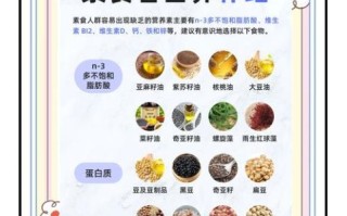素食主义者如何补充蛋白质_素食者一天吃多少克蛋白质