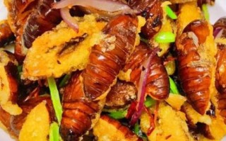 蚕蛹怎么做好吃_蚕蛹有什么营养价值