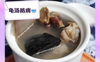 乌龟汤怎么炖_乌龟汤做法步骤详解