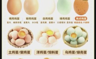 鸡蛋白的营养价值_一天吃几个鸡蛋白最好