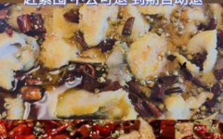 沸腾鱼乡水煮鱼怎么做_沸腾鱼乡水煮鱼正宗配方