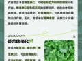 香菜的功效与作用_香菜吃多了有什么害处