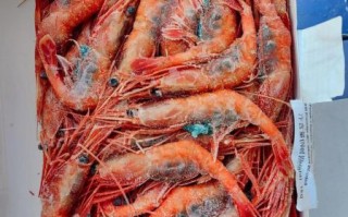 甜虾是生的还是熟的_甜虾刺身安全吗