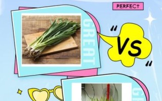 青蒜长什么样_青蒜和大蒜苗区别