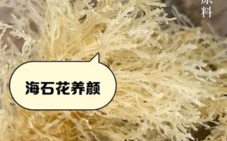 石花菜对人体的危害_石花菜吃多了会怎样