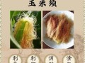 玉米须的功效与作用_玉米须的副作用有哪些