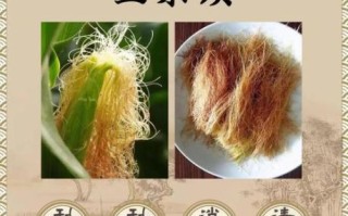 玉米须的功效与作用_玉米须的副作用有哪些